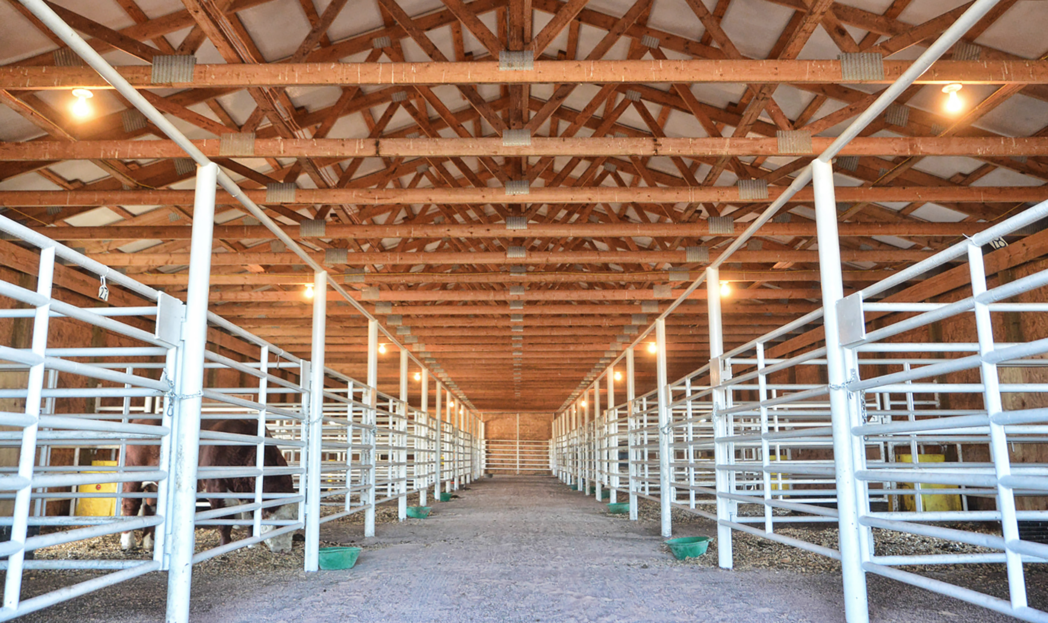 Home | Western Sire Services